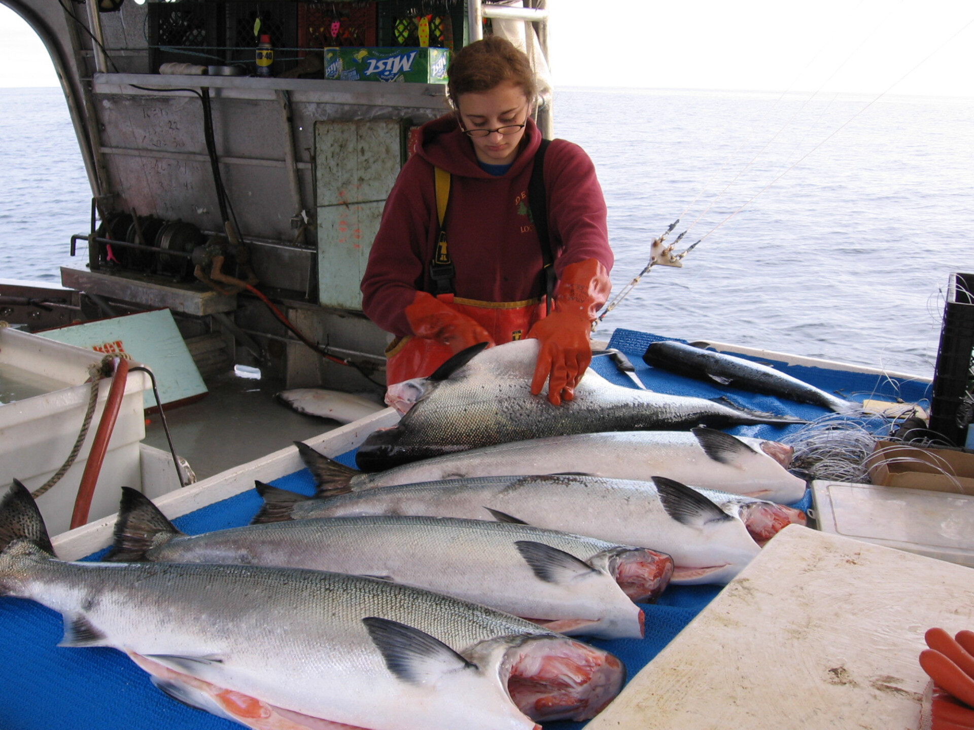 Über uns und unsere Flotte — Alaska Wildfisch